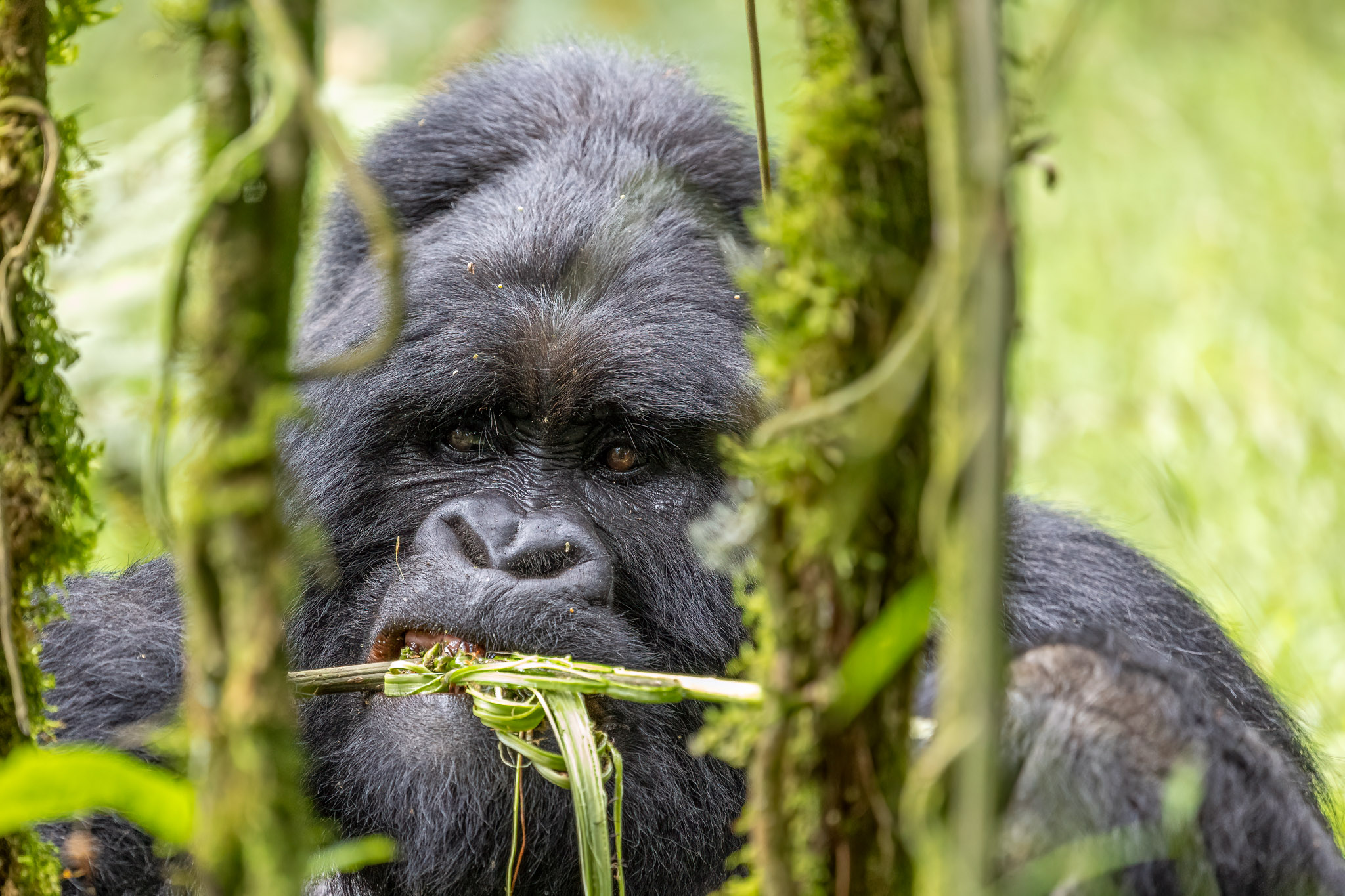 Uganda 2024 - UnoForsFoto